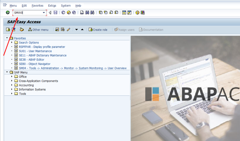 How to Change SAP Easy Access Screen Picture