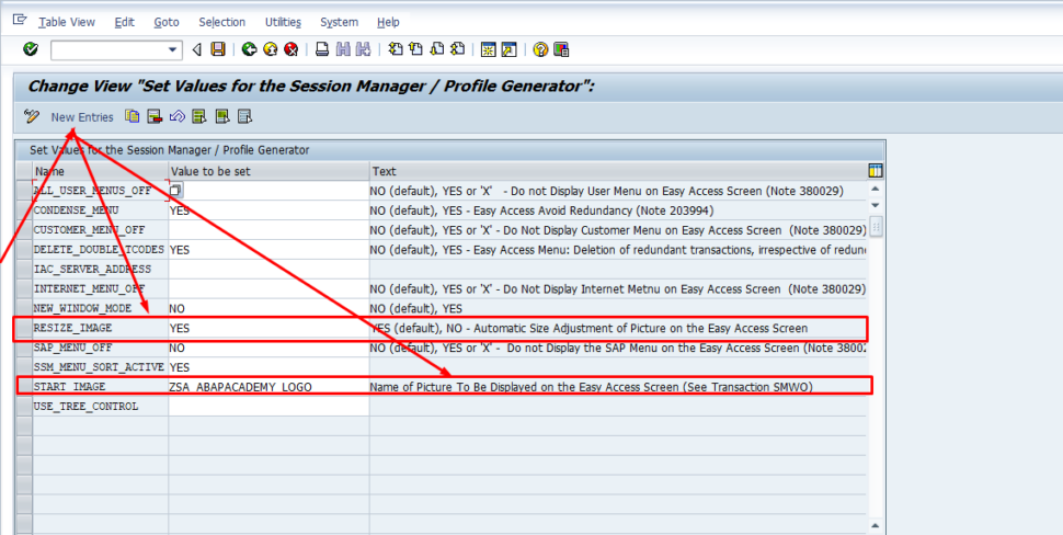How to Change SAP Easy Access Screen Picture