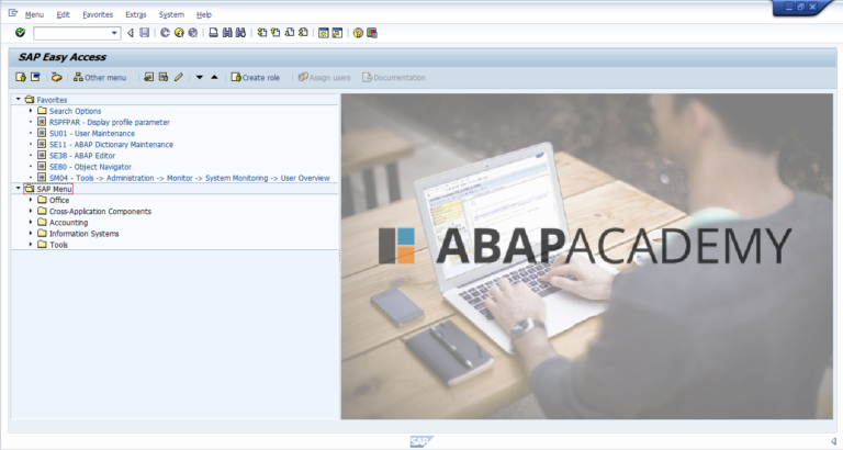How to Change SAP Easy Access Screen Picture