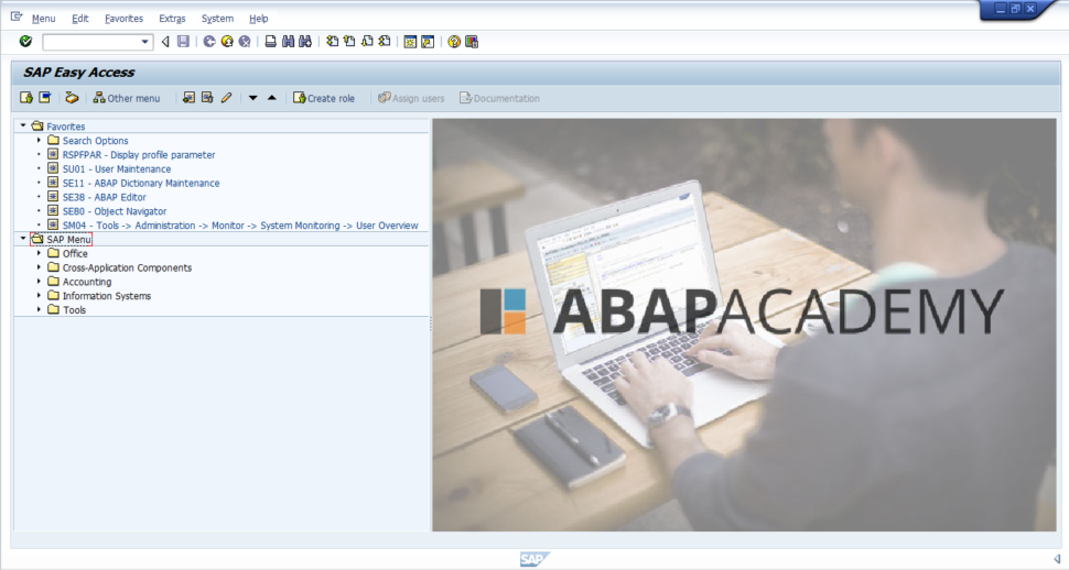 How to Change SAP Easy Access Screen Picture